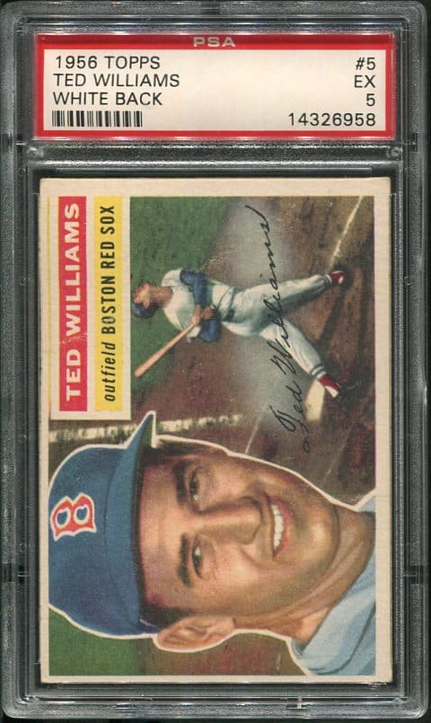 1956 Topps #5 Ted Williams PSA 5 HOF (14326958) - All Star Cards Inc
